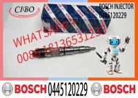 China Hot Selling common rail diesel fuel injector 0445120229 0445120229 For MTU engines for sale