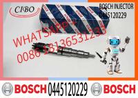 China Hot Selling common rail diesel fuel injector 0445120229 0445120229 For MTU engines for sale