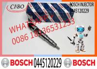 China Hot Selling common rail diesel fuel injector 0445120229 0445120229 For MTU engines for sale