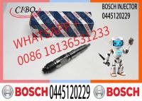 China Hot Selling common rail diesel fuel injector 0445120229 0445120229 For MTU engines for sale