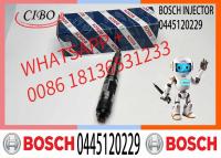 China Hot Selling common rail diesel fuel injector 0445120229 0445120229 For MTU engines for sale