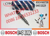 China Hot Selling common rail diesel fuel injector 0445120229 0445120229 For MTU engines for sale
