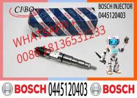 China High Quality Diesel Engine Fuel Common Rail Injector 0445120399 0445120400 0445120403 for sale