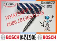 China High Quality Diesel Engine Fuel Common Rail Injector 0445120399 0445120400 0445120403 for sale