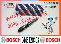 China High Quality Diesel Engine Fuel Common Rail Injector 0445120399 0445120400 0445120403 for sale