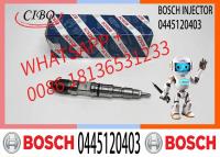 China High Quality Diesel Engine Fuel Common Rail Injector 0445120399 0445120400 0445120403 for sale