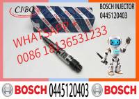 China High Quality Diesel Engine Fuel Common Rail Injector 0445120399 0445120400 0445120403 for sale