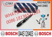 China High Quality Diesel Engine Fuel Common Rail Injector 0445120399 0445120400 0445120403 for sale