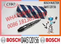 China 0445120156 Diesel Common Rail Diesel Engine Injector 0445120290 for sale