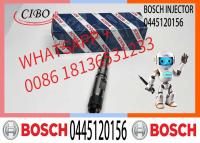 China 0445120156 Diesel Common Rail Diesel Engine Injector 0445120290 for sale