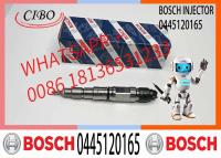 China 0 445 120 165 Fuel Pump Assembly Nozzles 0445 120 165 Diesel Fuel Injector 0445120165 for sale