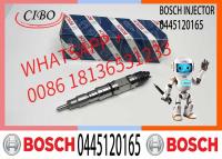 China 0 445 120 165 Fuel Pump Assembly Nozzles 0445 120 165 Diesel Fuel Injector 0445120165 for sale