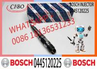 China Fuel Injector Diesel Injector 0445120225 0445120439 for sale