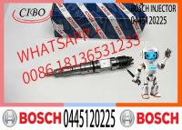 China Fuel Injector Diesel Injector 0445120225 0445120439 for sale