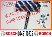China Fuel Injector Diesel Injector 0445120225 0445120439 for sale