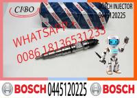 China Fuel Injector Diesel Injector 0445120225 0445120439 for sale