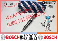 China Fuel Injector Diesel Injector 0445120225 0445120439 for sale