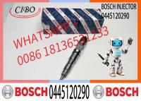 China High Quality Diesel Common Rail Fuel Injector 0445120290 Fuel Injector 0445120290 for sale