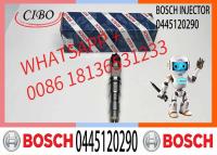 China High Quality Diesel Common Rail Fuel Injector 0445120290 Fuel Injector 0445120290 for sale