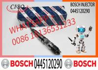 China High Quality Diesel Common Rail Fuel Injector 0445120290 Fuel Injector 0445120290 for sale