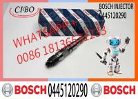 China High Quality Diesel Common Rail Fuel Injector 0445120290 Fuel Injector 0445120290 for sale