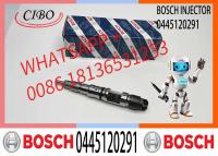 China 0445120291 Fuel Unit Injector Nozzle J0100-1112100-A38 Bico Injection Pump Injector 0 445 120 291 for sale