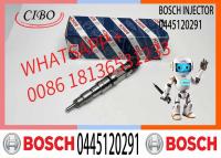 China 0445120291 Fuel Unit Injector Nozzle J0100-1112100-A38 Bico Injection Pump Injector 0 445 120 291 for sale