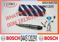 China 0445120291 Fuel Unit Injector Nozzle J0100-1112100-A38 Bico Injection Pump Injector 0 445 120 291 for sale