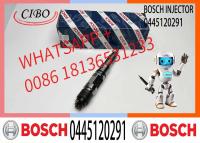 China 0445120291 Fuel Unit Injector Nozzle J0100-1112100-A38 Bico Injection Pump Injector 0 445 120 291 for sale