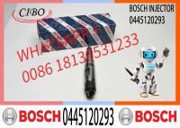 China High Performance Diesel Engine Parts 0445120293 Fuel Injector 0 445 120 293 for sale