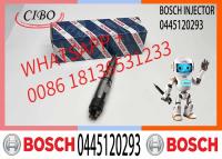 China High Performance Diesel Engine Parts 0445120293 Fuel Injector 0 445 120 293 for sale