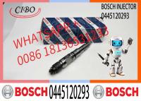 China High Performance Diesel Engine Parts 0445120293 Fuel Injector 0 445 120 293 for sale