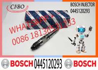 China High Performance Diesel Engine Parts 0445120293 Fuel Injector 0 445 120 293 for sale