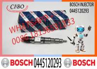 China High Performance Diesel Engine Parts 0445120293 Fuel Injector 0 445 120 293 for sale