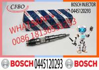 China High Performance Diesel Engine Parts 0445120293 Fuel Injector 0 445 120 293 for sale