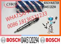 China Engine Injector 0445120294 0 445 120 430 Electronic Unit Injectors 0 445 120 294 0445120430 for sale