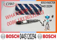 China Engine Injector 0445120294 0 445 120 430 Electronic Unit Injectors 0 445 120 294 0445120430 for sale