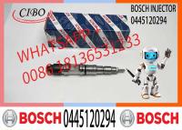 China Engine Injector 0445120294 0 445 120 430 Electronic Unit Injectors 0 445 120 294 0445120430 for sale