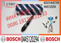 China Engine Injector 0445120294 0 445 120 430 Electronic Unit Injectors 0 445 120 294 0445120430 for sale