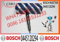 China Engine Injector 0445120294 0 445 120 430 Electronic Unit Injectors 0 445 120 294 0445120430 for sale
