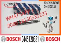 China Engine Parts Injector 0 445 120 381 Diesel Fuel Injectors 0445 120 381 Injector Nozzles for 0445120381 for sale
