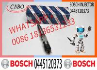 China 0 445 120 373 Common Rail Injection System 0445120373 Diesel Fuel Injector 0445 120 373 for Diesel Car for sale