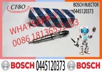 China 0 445 120 373 Common Rail Injection System 0445120373 Diesel Fuel Injector 0445 120 373 for Diesel Car for sale