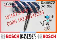 China 0 445 120 373 Common Rail Injection System 0445120373 Diesel Fuel Injector 0445 120 373 for Diesel Car for sale
