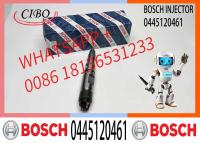 China High quality fuel injector nozzles 0 445 120 461/0445120461 For engine parts with its nozzle DLLA145P2566 for sale