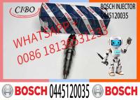 China Diesel Pump Injector 0 445 120 035 Diesel Engine Fuel Injector Nozzle 0445 120 035 FOR 0445120035 Injector for sale