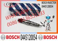 China Hot Sale Genuine Diesel Engine Fuel Injector 0445120054 Fuel Injector Assembly 0 445 120 054 504091504 for sale