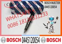 China Hot Sale Genuine Diesel Engine Fuel Injector 0445120054 Fuel Injector Assembly 0 445 120 054 504091504 for sale