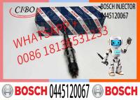 China Hot Sale Manufacture Engine Diesel Fuel Injector 0445120067 For Deutz D6E EC210 EC200 Excavator Engine for sale