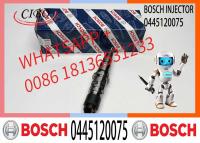 China Diesel Engine Common Rail Injector Assembly 0445120075 for sale